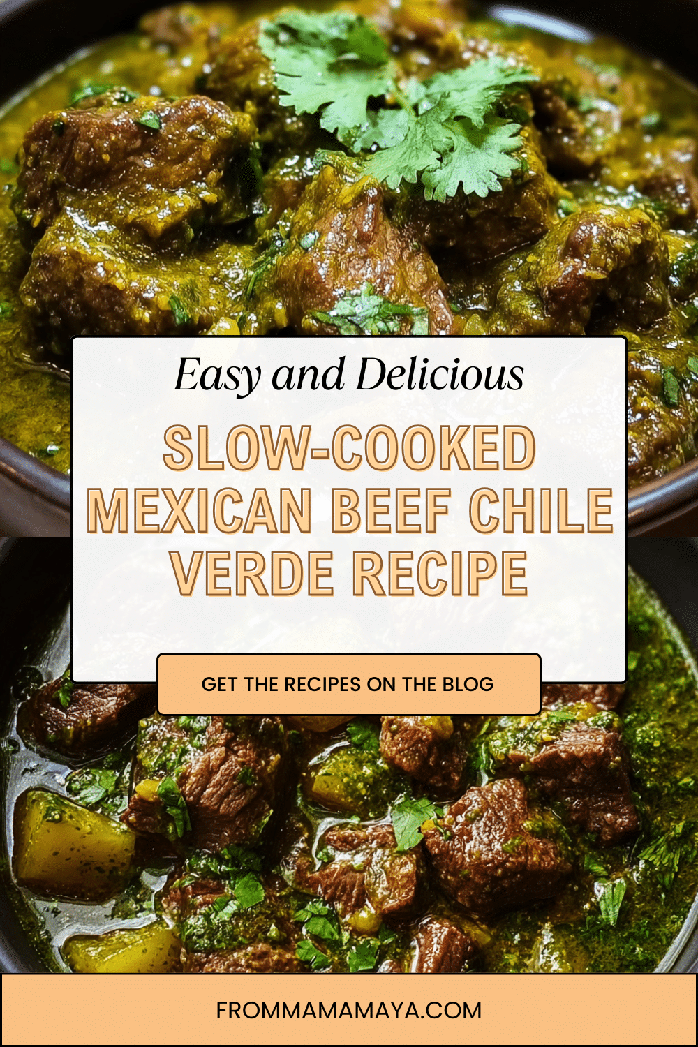 Mexican Beef Chile Verde: Hearty & Flavorful Slow-Cooked Stew
